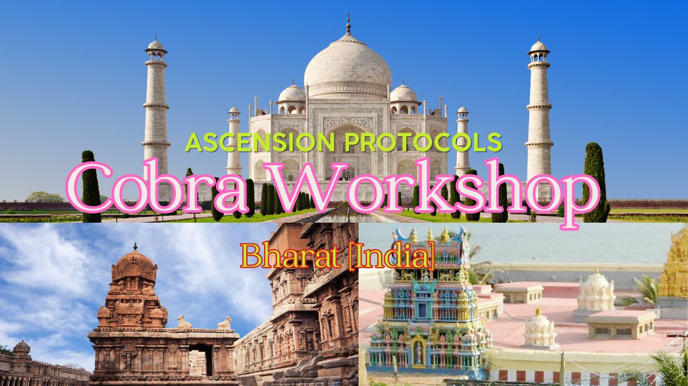 ASCENSION PROTOCOLS WORKSHOP by COBRA